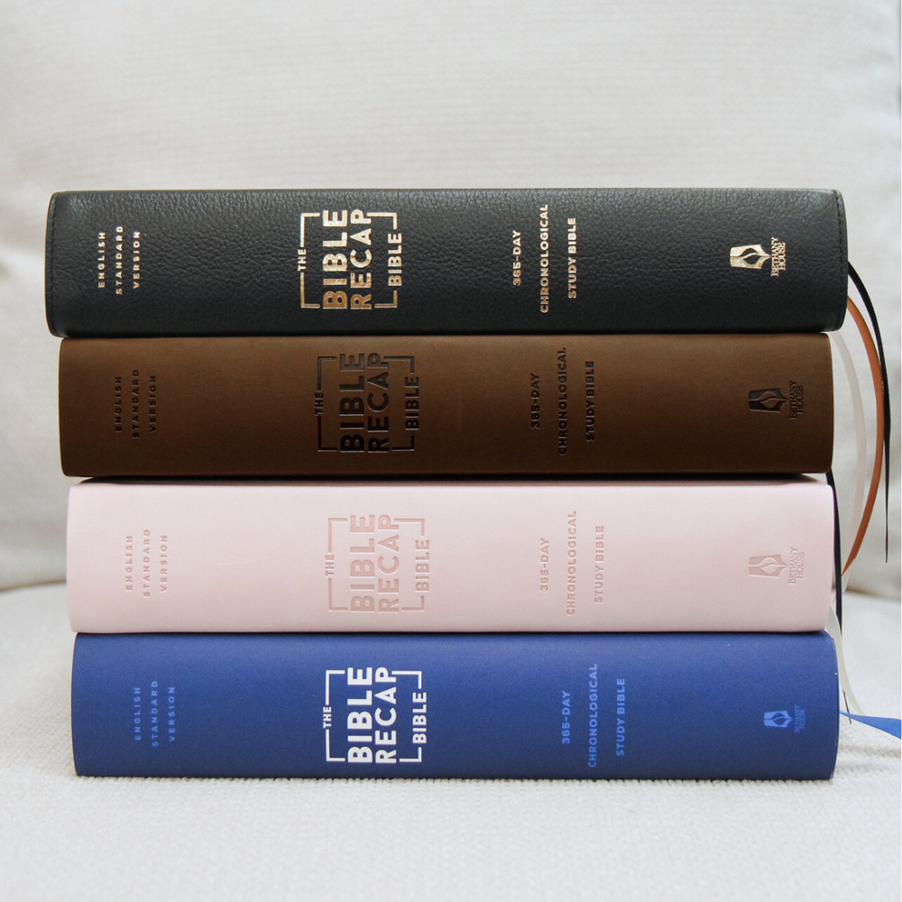 Books – The Bible Recap
