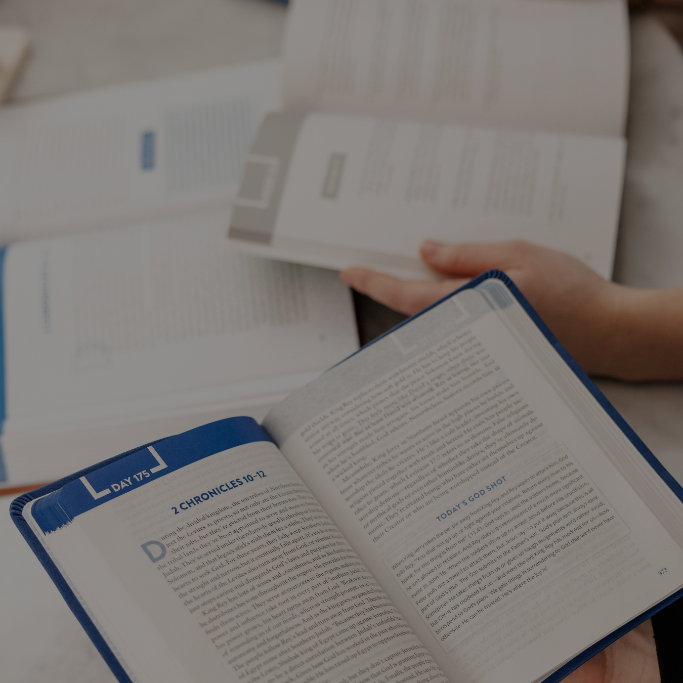 Transcripts – The Bible Recap
