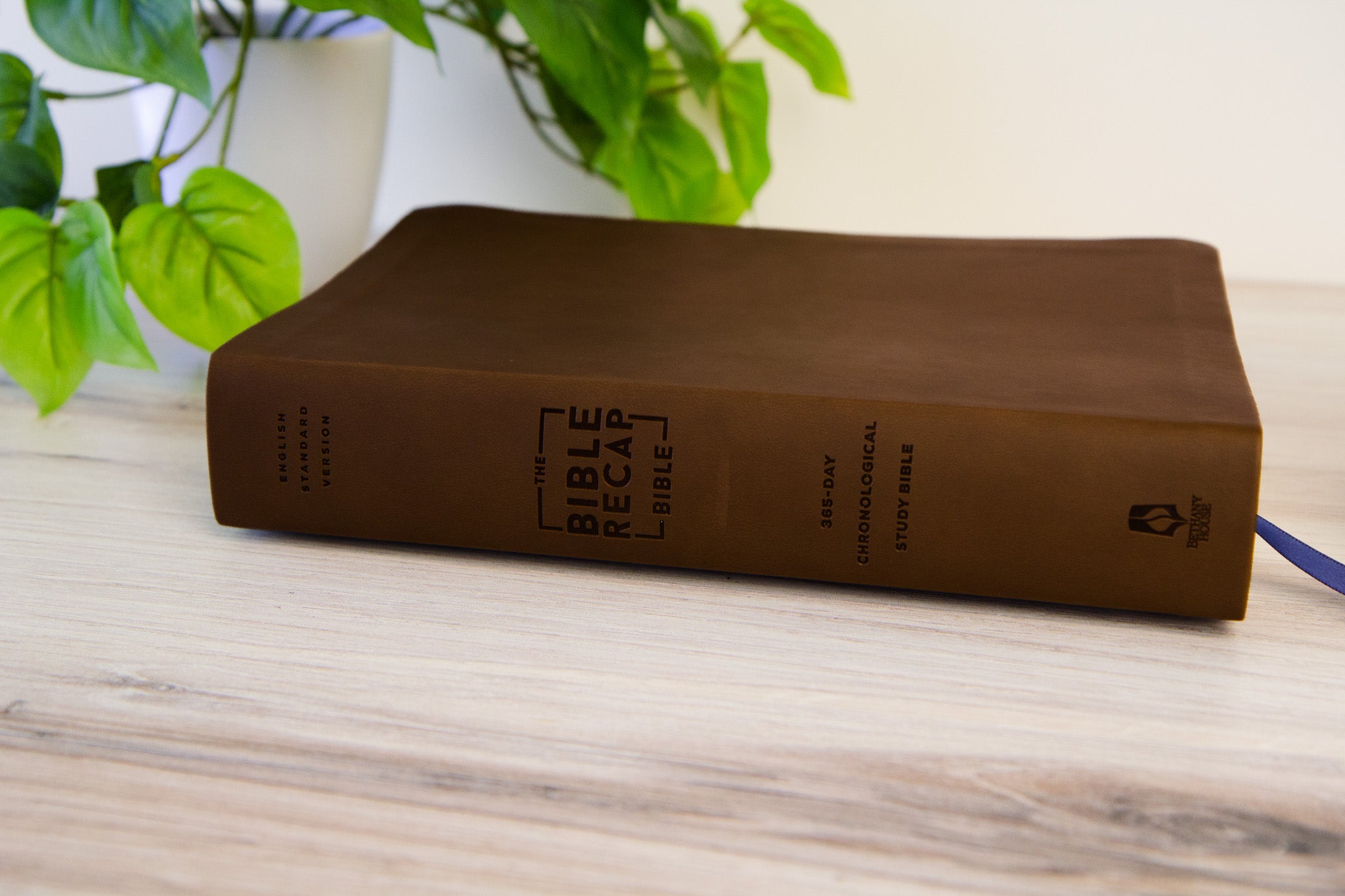 TBR Bible – The Bible Recap