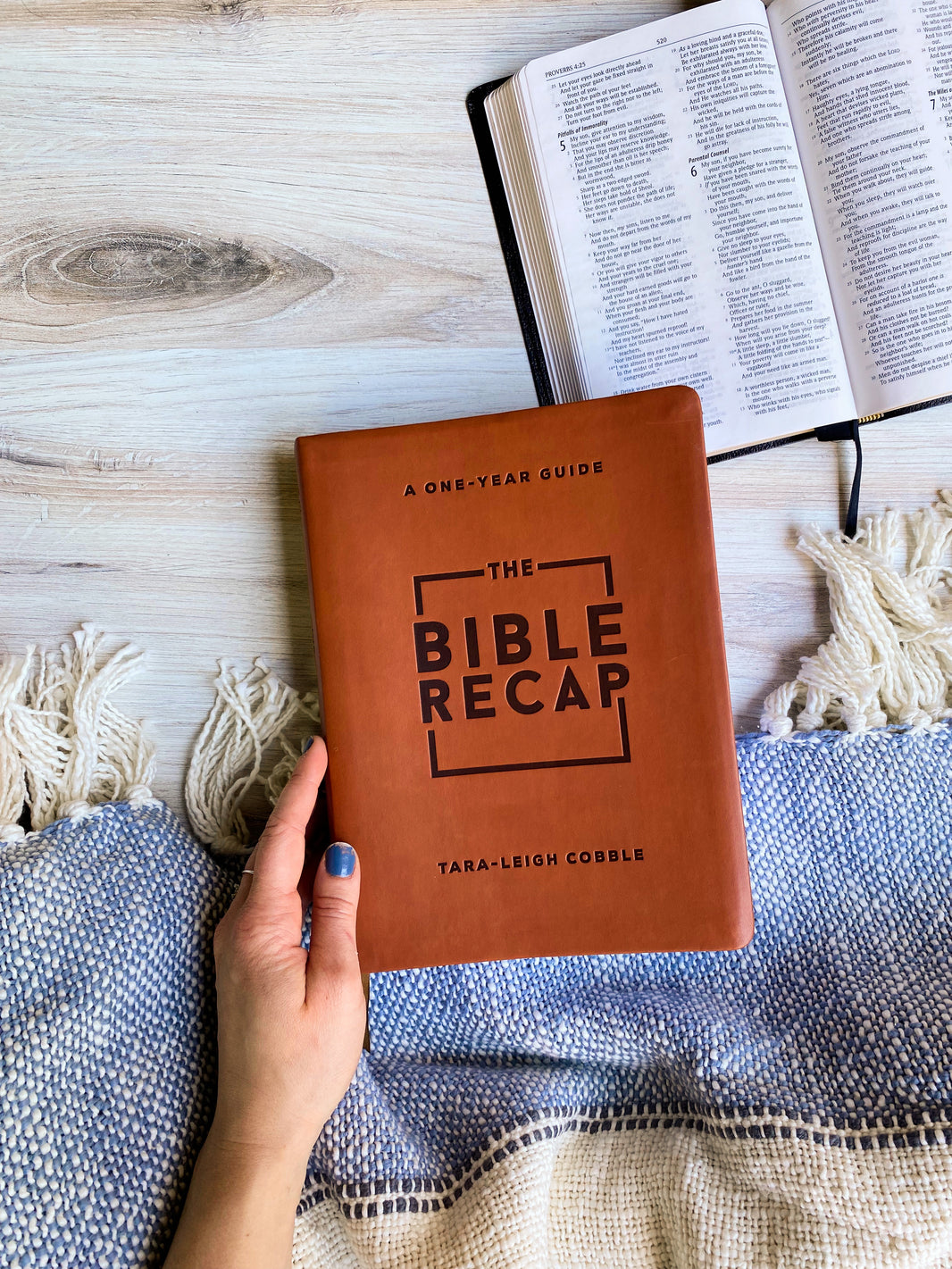 The Bible Recap