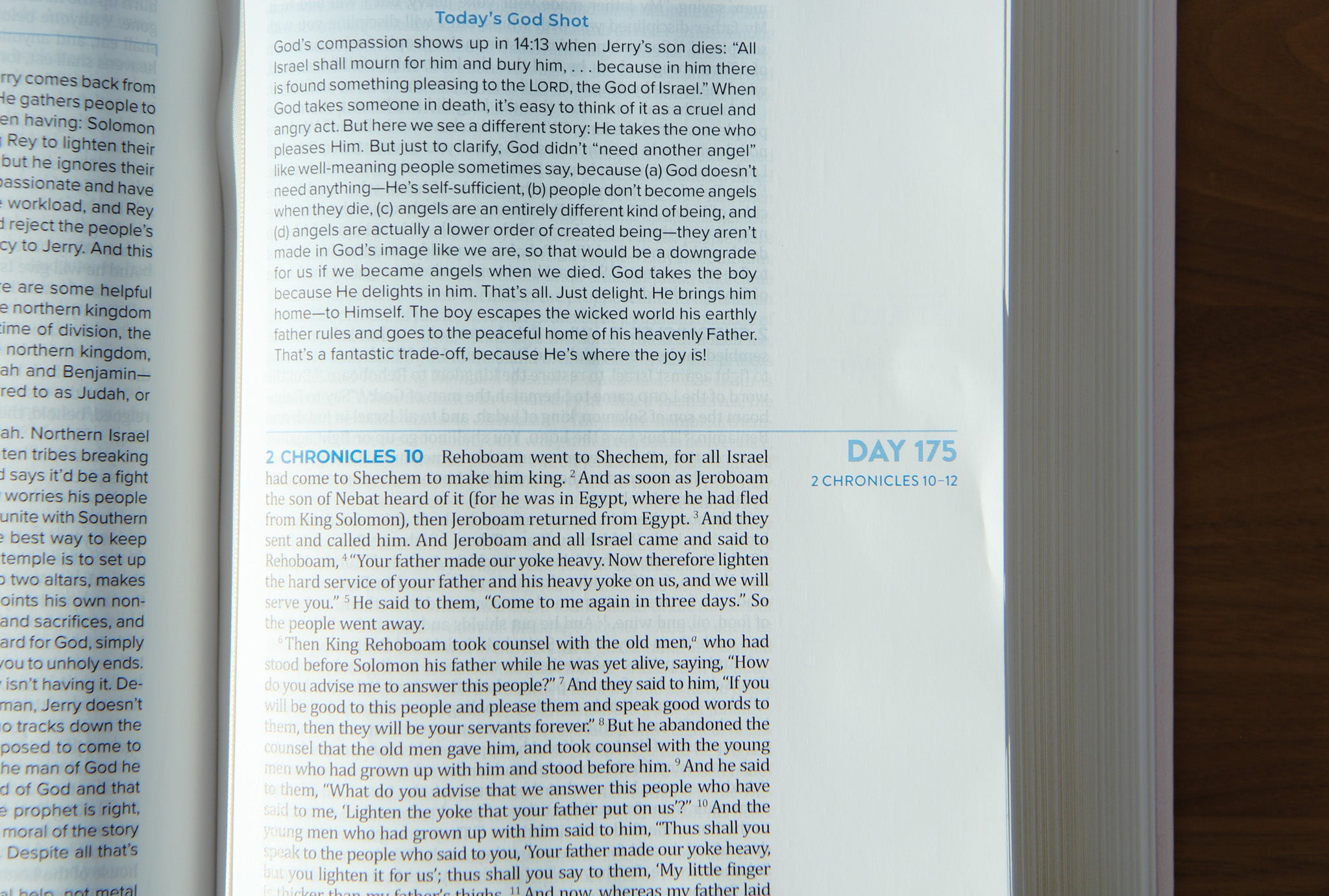 The Bible Recap 365-Day Chronological Study Bible - Pink Vegan Leather