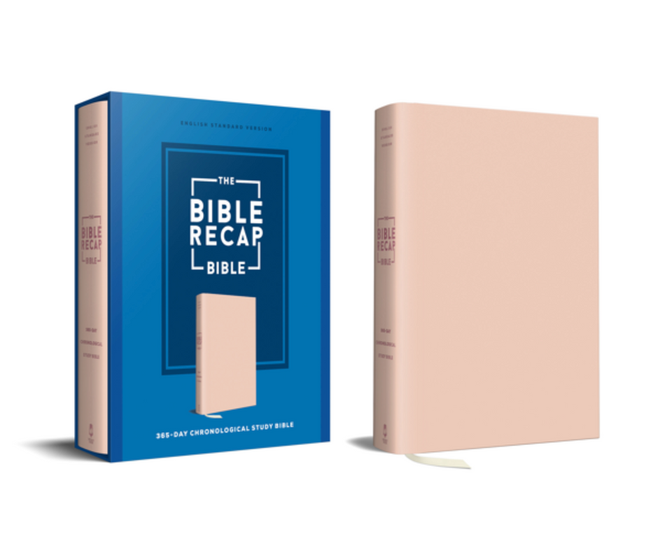 TBR Bible – The Bible Recap