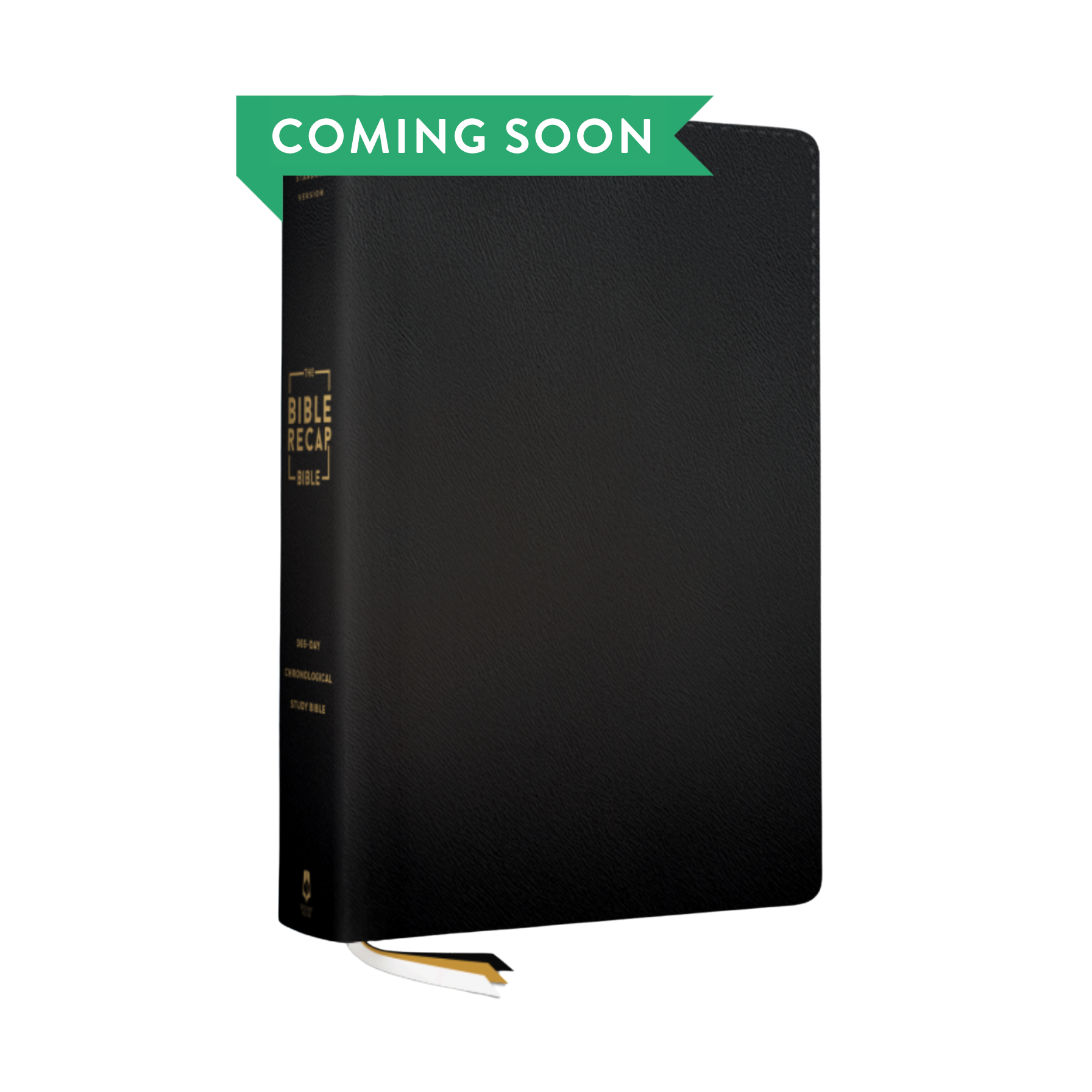 TBR Bible – The Bible Recap