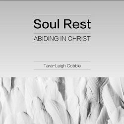 Soul Rest: Abiding in Christ – The Bible Recap