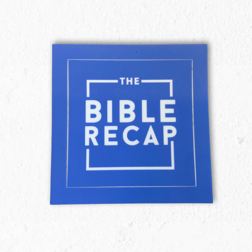 The Bible Recap Kids' Devotional: 365 Reflections and Activities for C