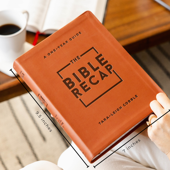 The Bible Recap: Deluxe Edition